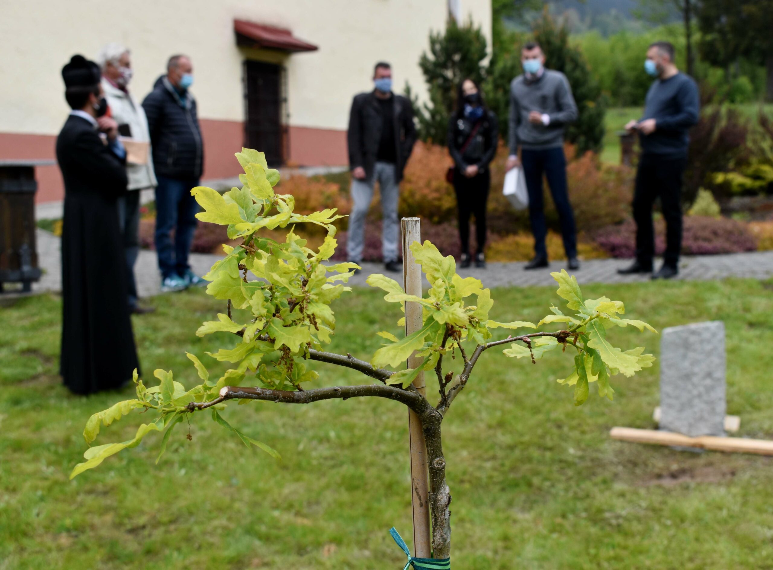 First COVID-19 Tree of Peace was planted in Slovakia - Tree of peace ...