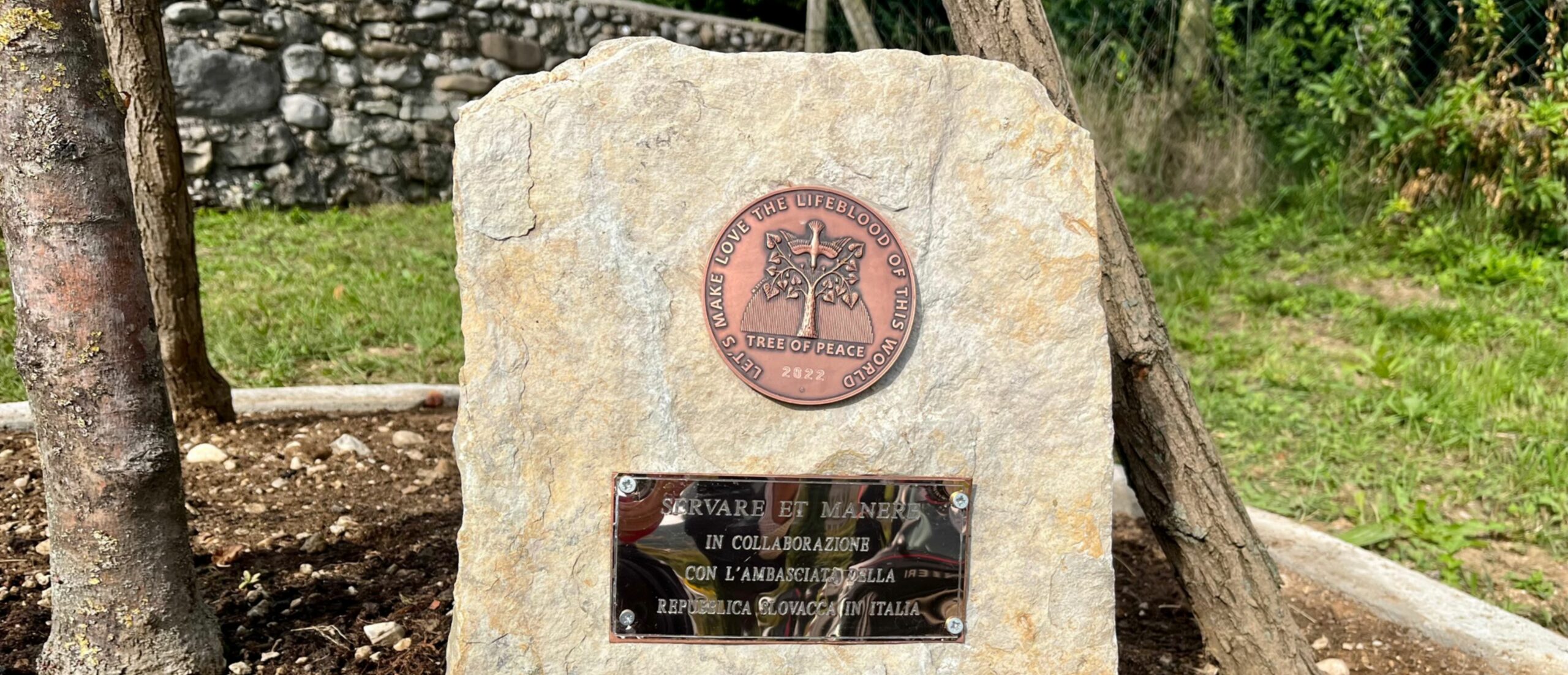 First Tree of Peace in Italy - Tree of peace / Strom pokoja