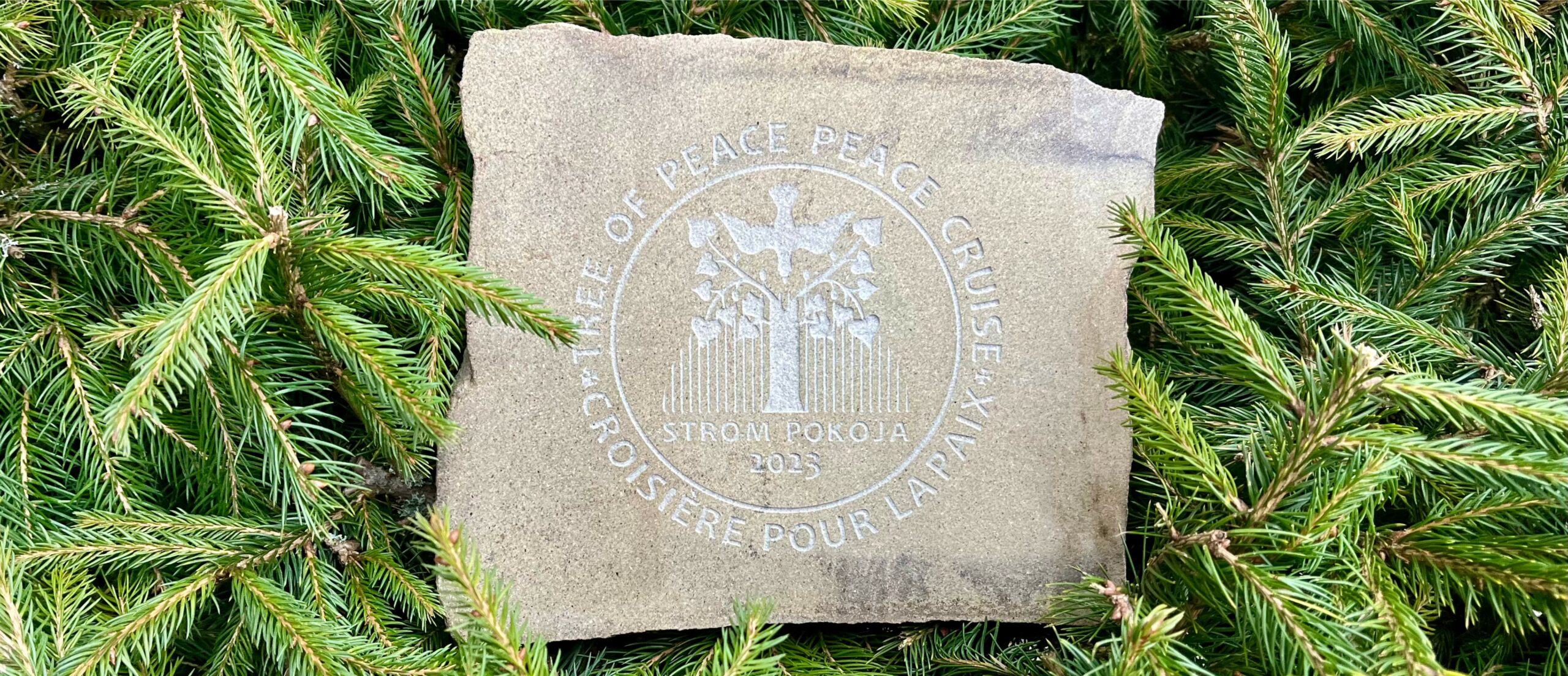 Tree of Peace in International Waters - Tree of peace / Strom pokoja