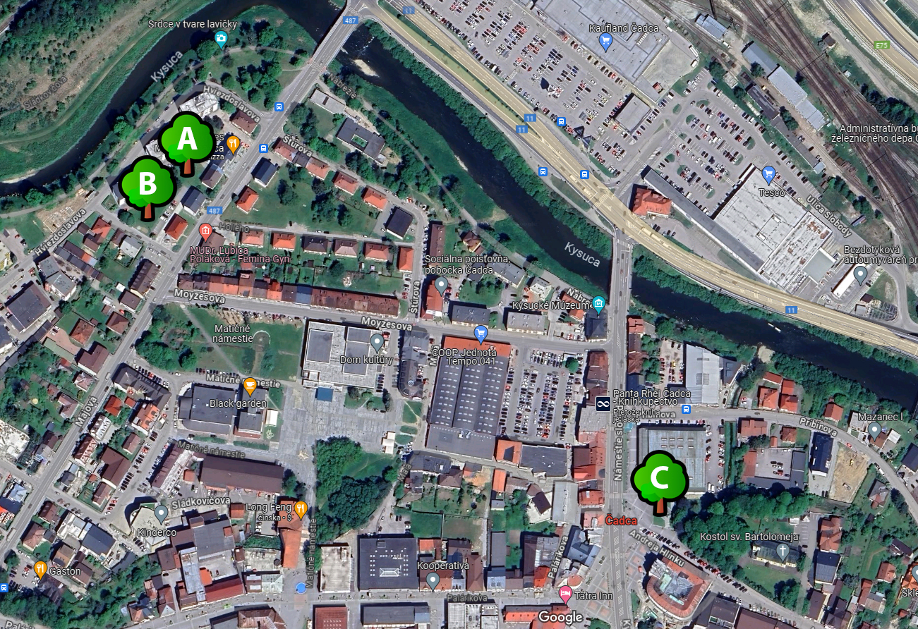 First year of the Kysuce Earth Day - Tree of peace / Strom pokoja