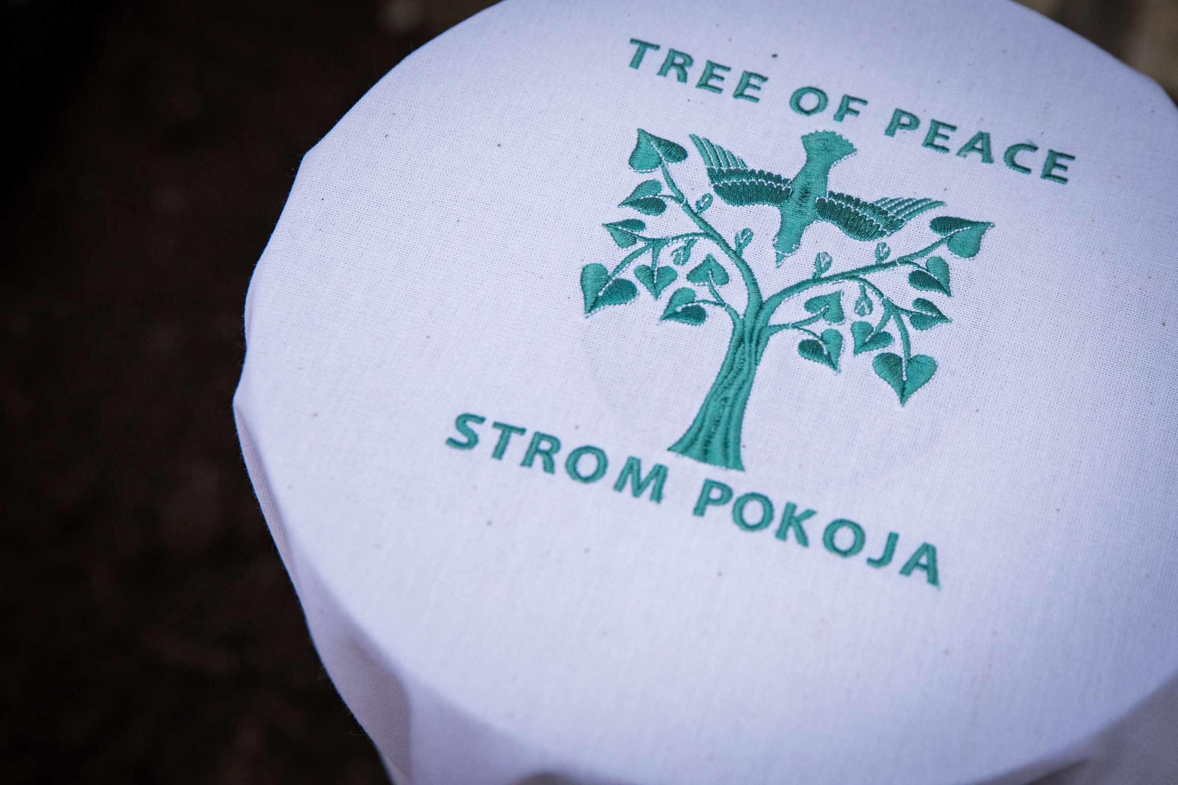35th Tree of Peace grows in Cyprus as a symbol of hope and friendship ...
