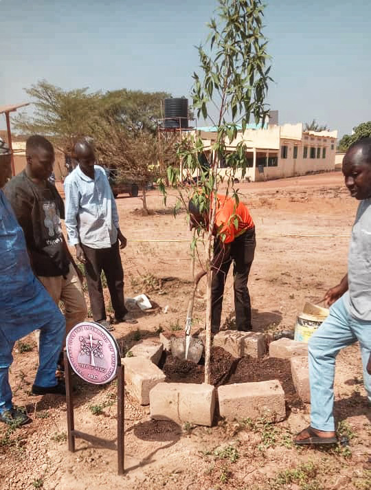The first Tree of Peace in Africa! - Tree of peace / Strom pokoja